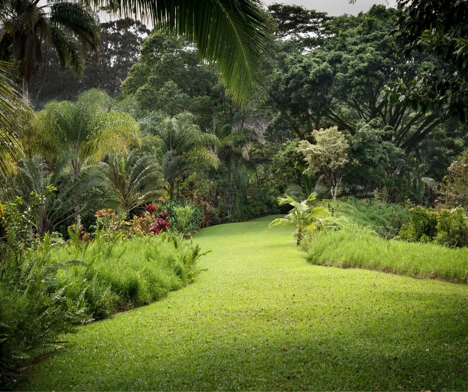 The Garden of Eden: A Blueprint for Eternity | Genesis 2:8-17 | Wiregrass Church