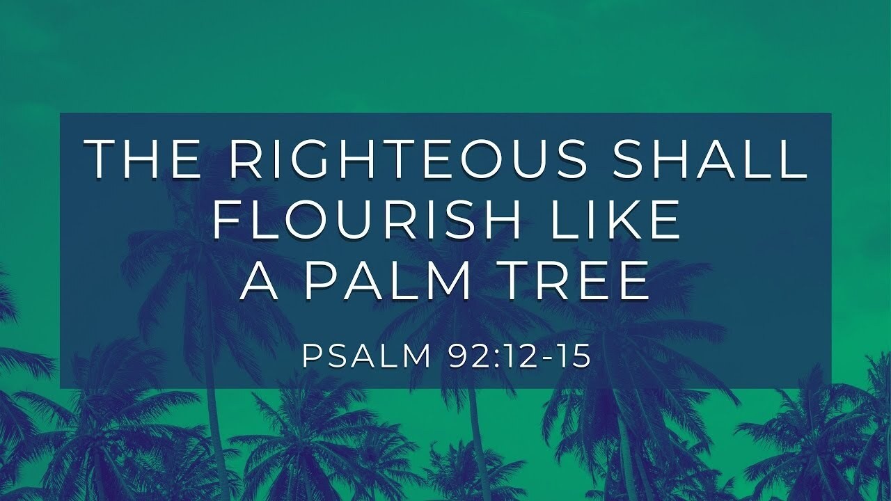 May You Flourish Like A Palm Tree | Renewal Christian Center
