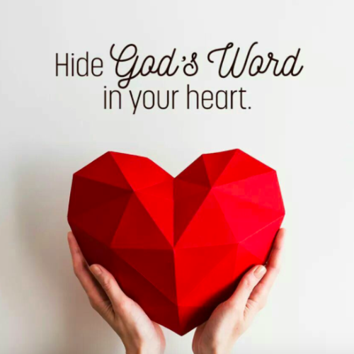 START MEMORIZING SCRIPTURES | The Church @ War Hill