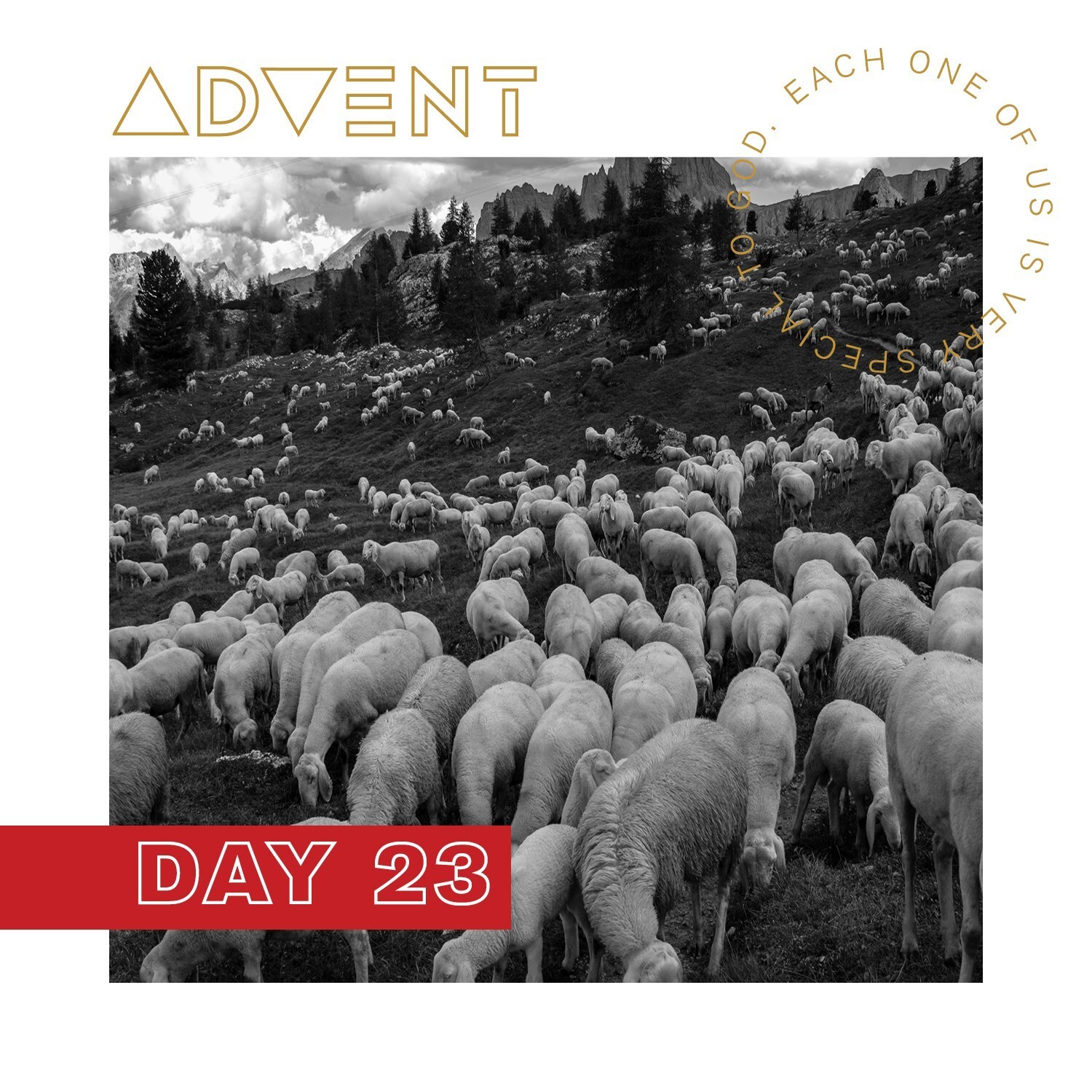Advent Day 23 – Each One of Us is Very Special to God | Hendersonville COG
