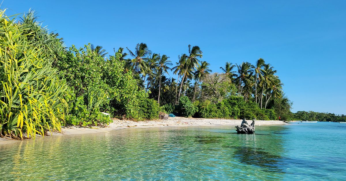 New Dive Center On Pemba Island | DAN Southern Africa