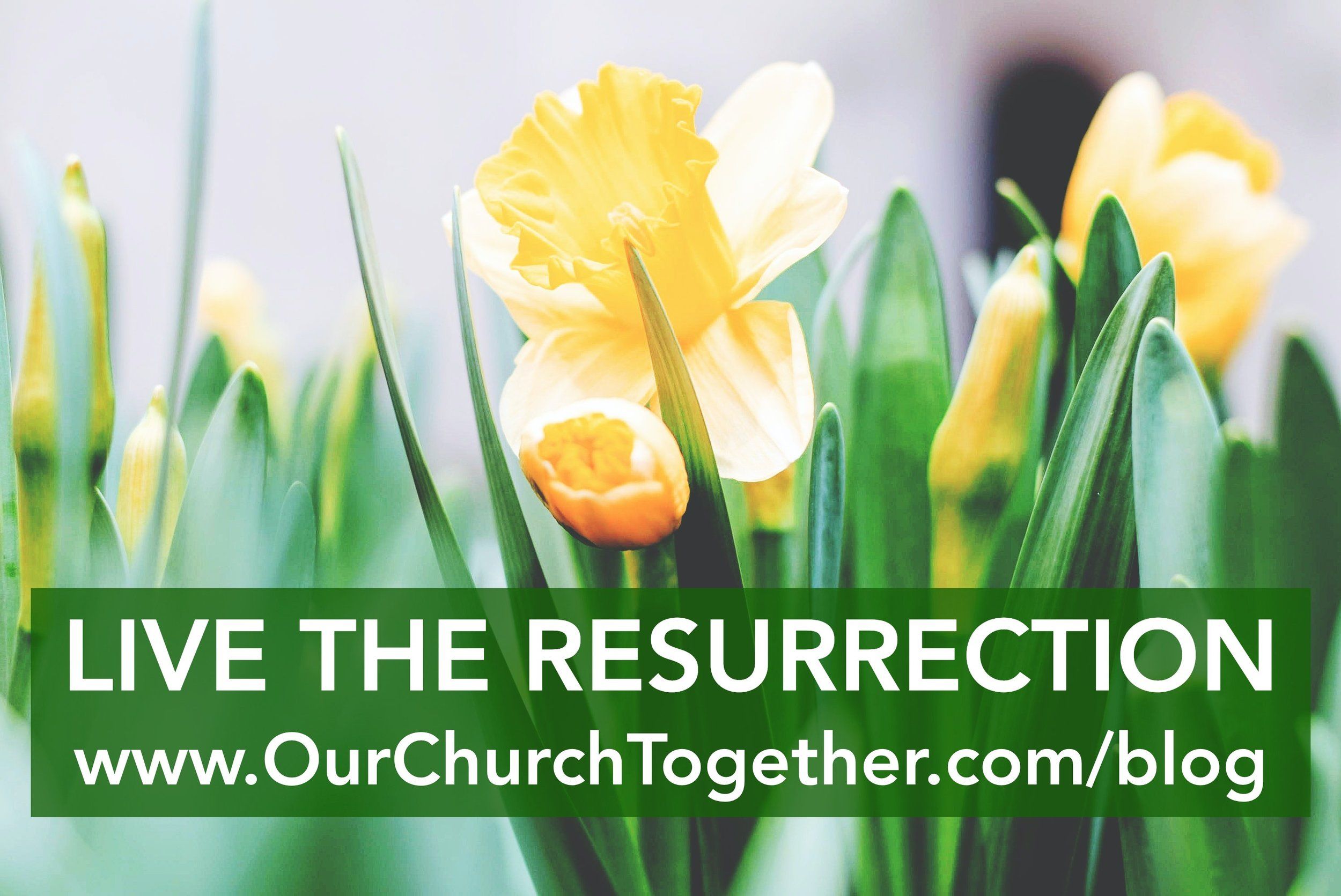 Live the Resurrection! | Church Together