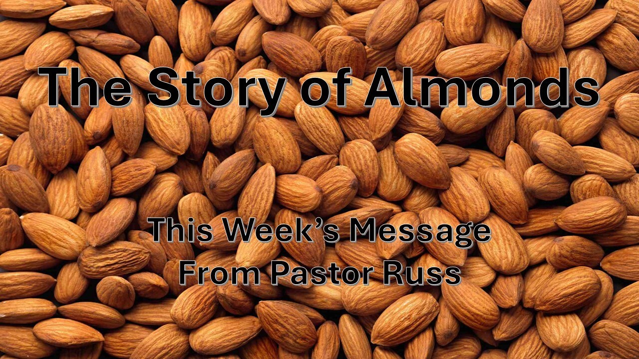 Story - The Almonds | Spirit and Truth Church Odessa