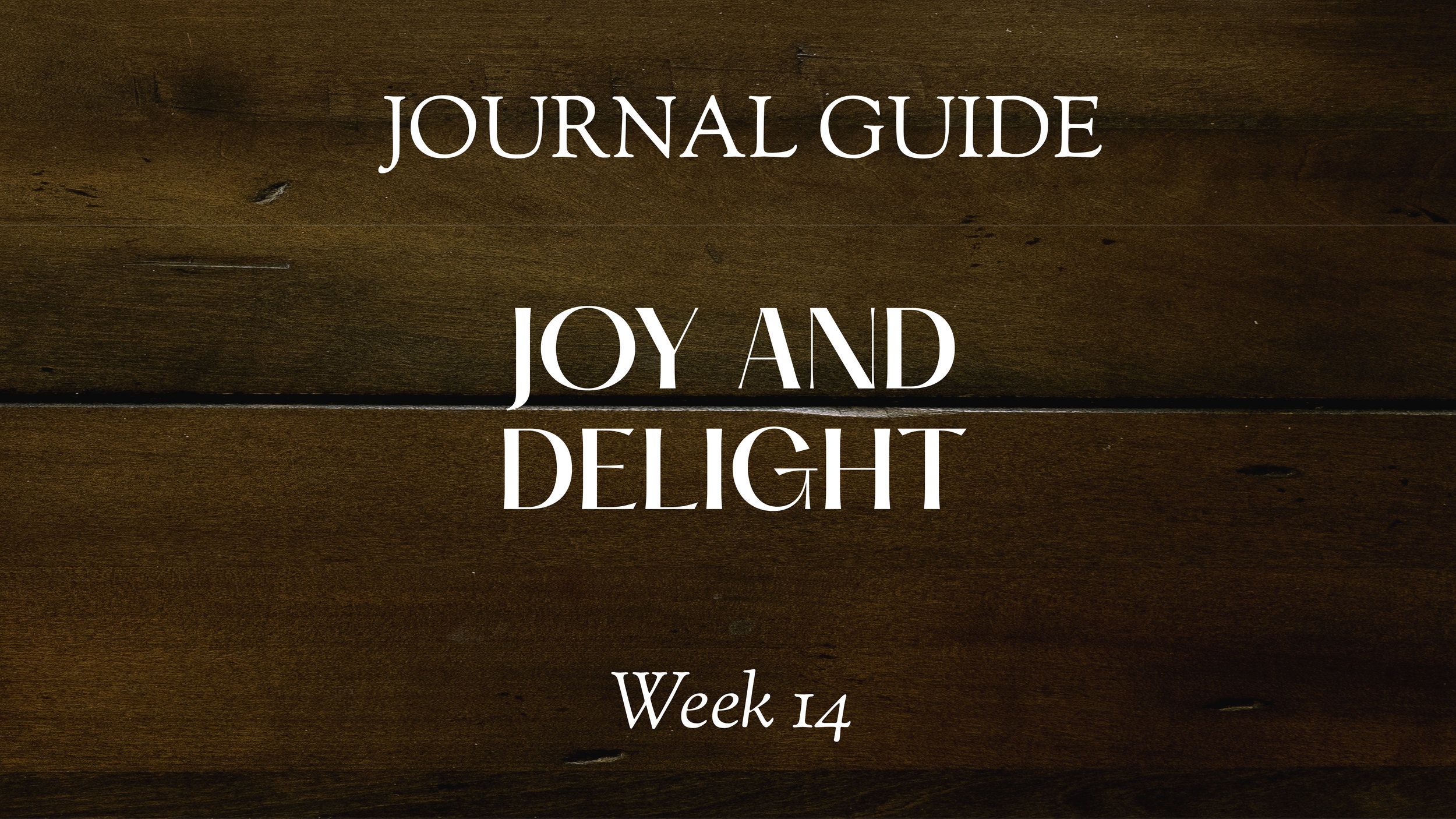 Journal - Joy And Delight - wk14 | Word By Mail