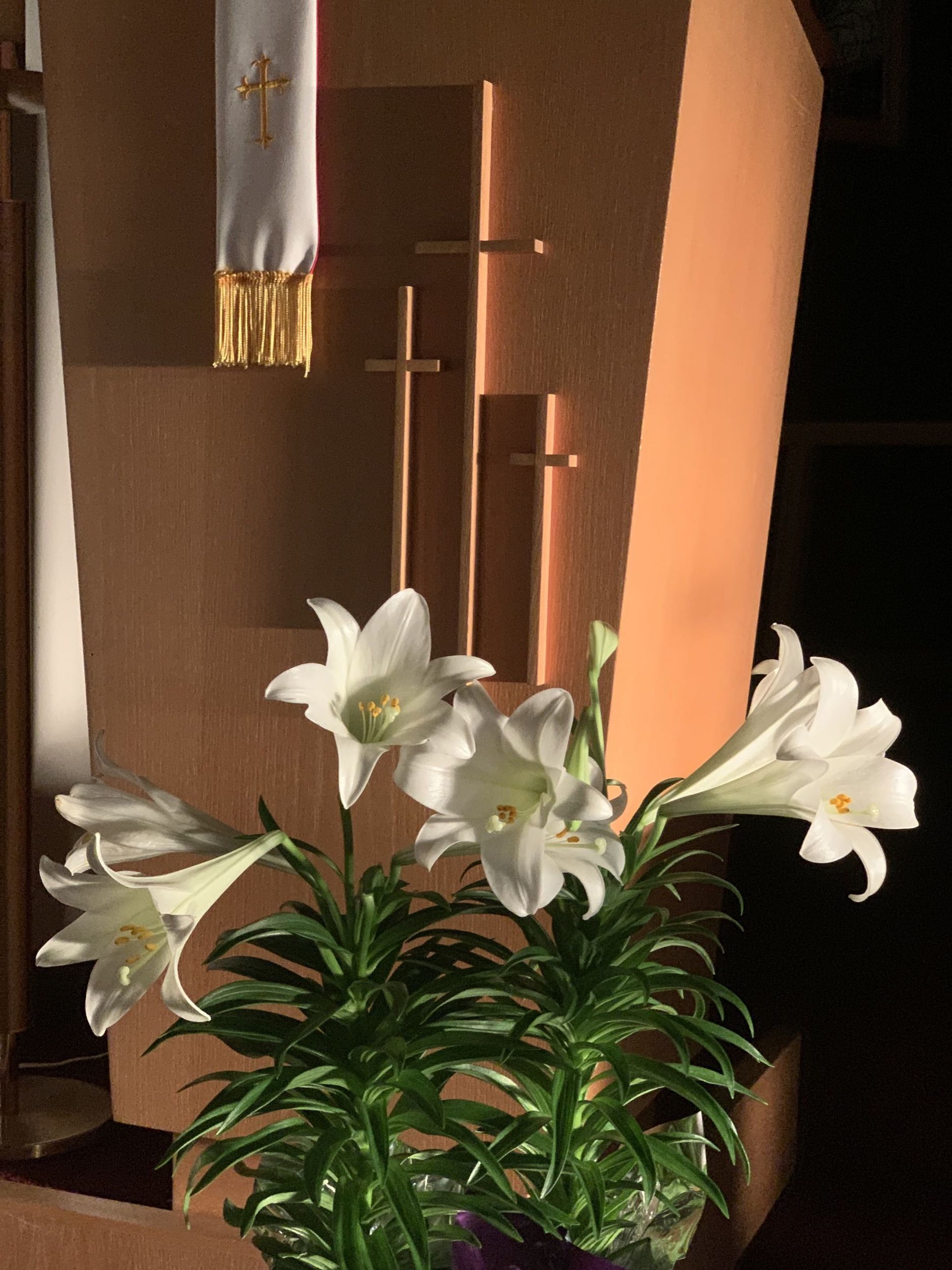 April 21st Announcements | Holy Cross Lutheran Church (Carlisle, IA)