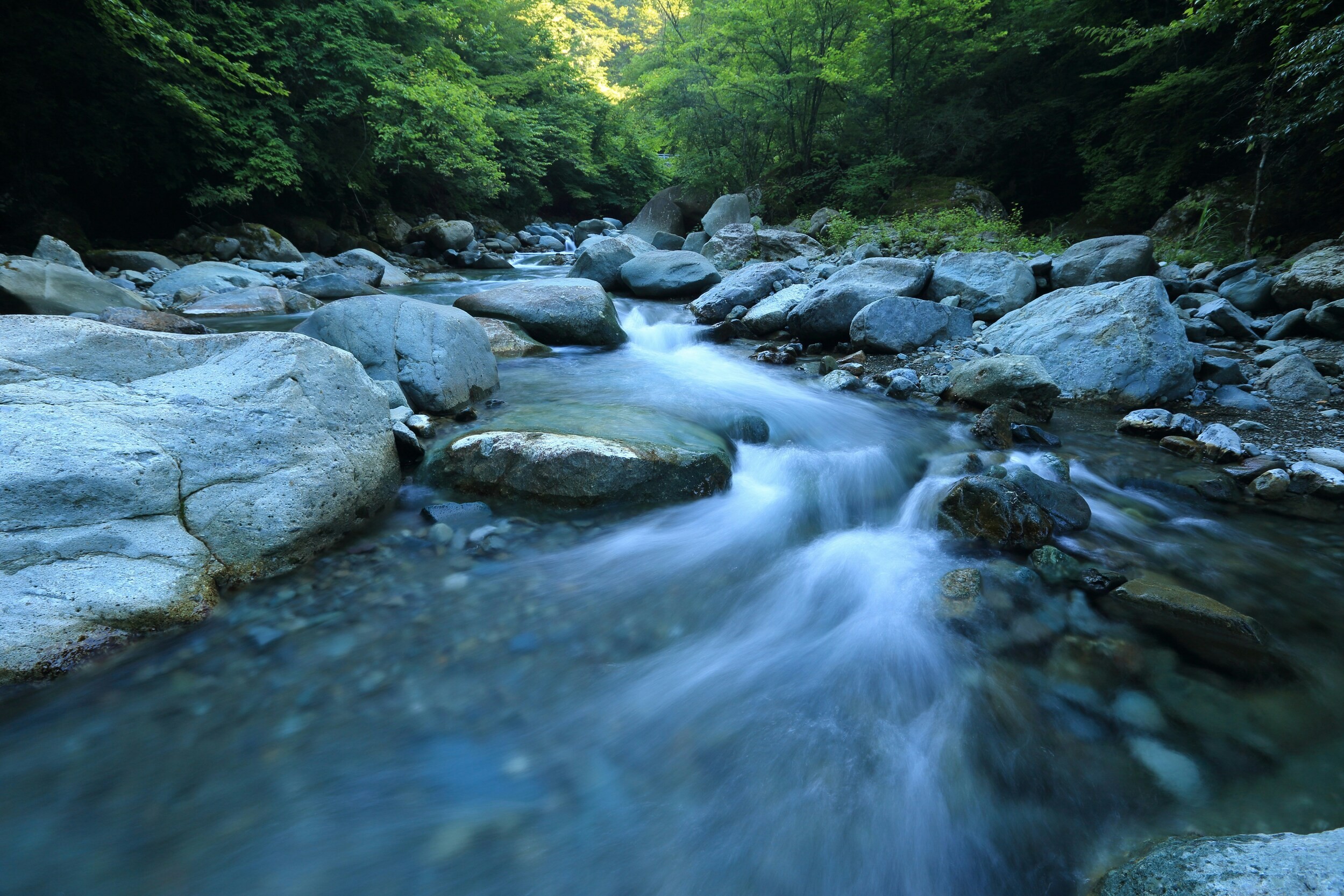 Come to the Waters: From the Spring to the River | Faith Bible Church