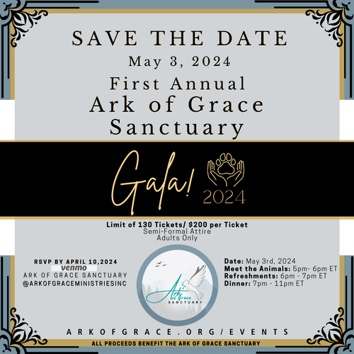 Ark of Grace Ministries | Amanda Grace