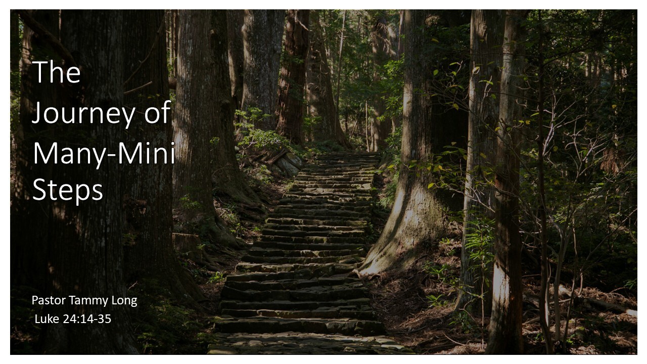 The Journey of Many - Mini Steps | South Bay Community Church