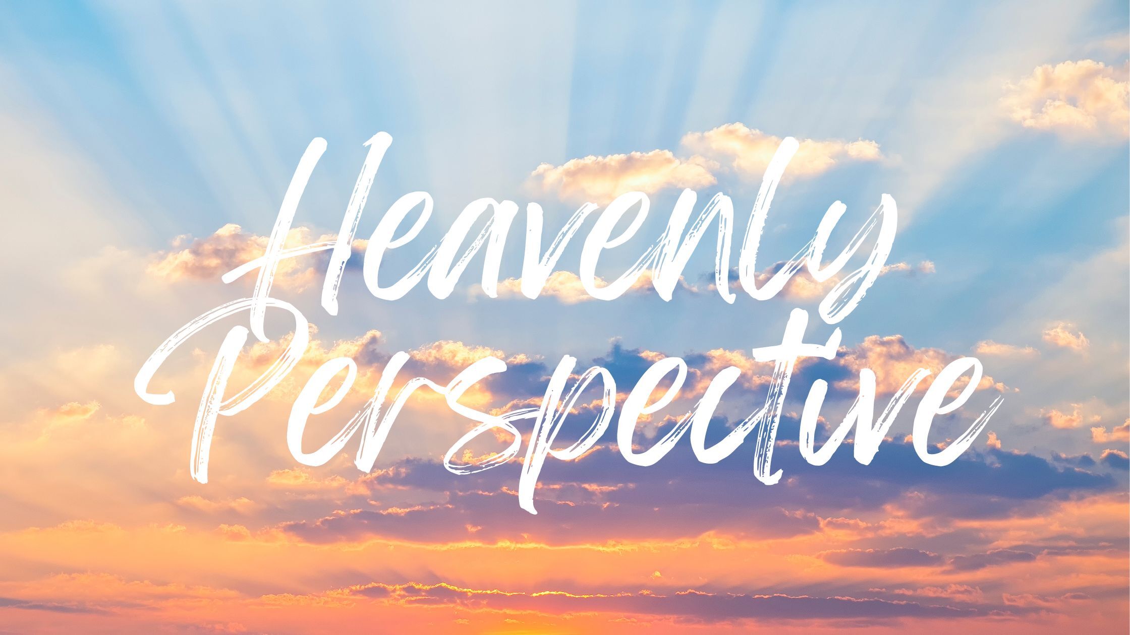 Heavenly Perspective | New Life of Currituck