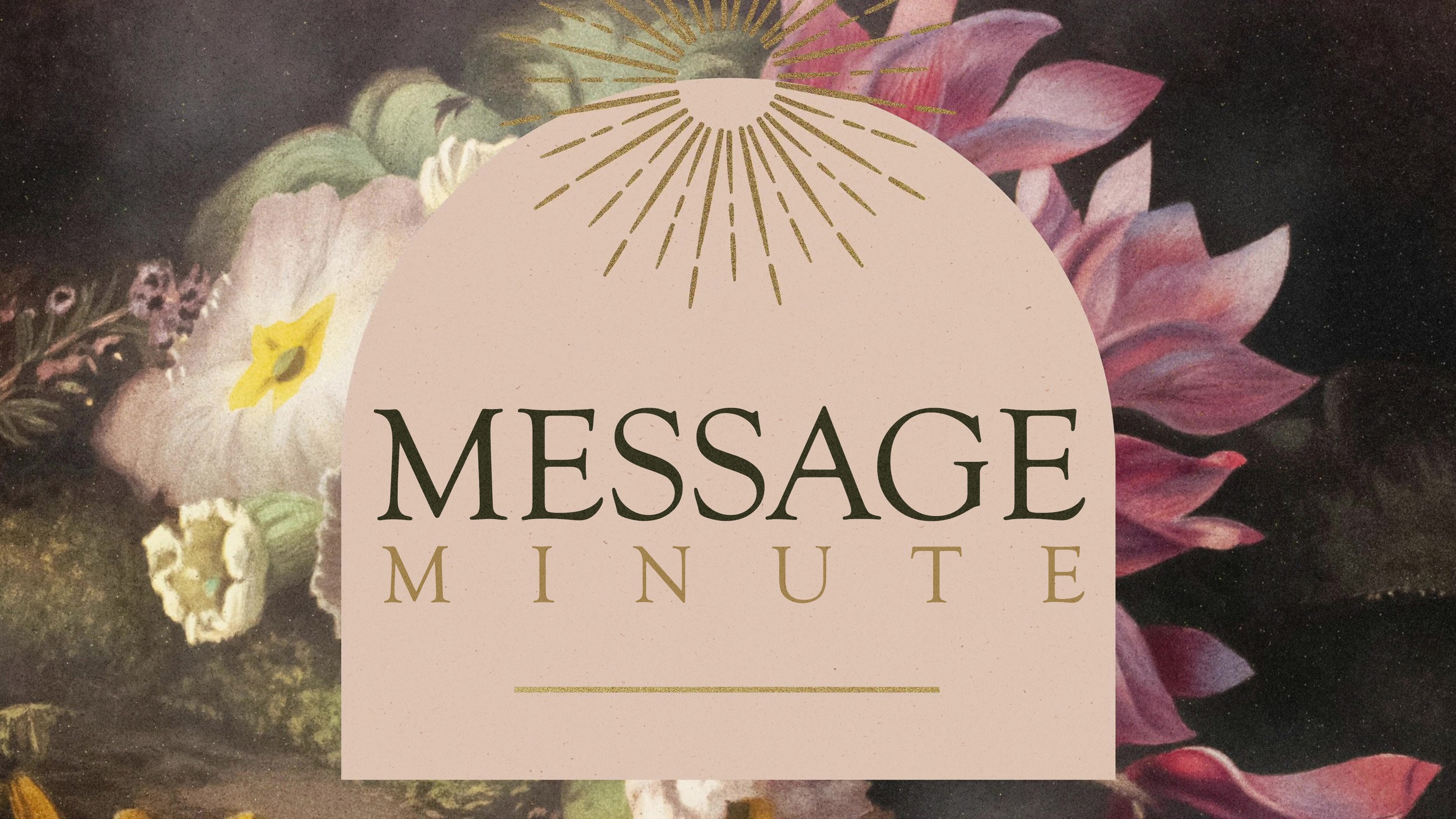 Message Minute (Competing Loyalties) | Church of the Suncoast