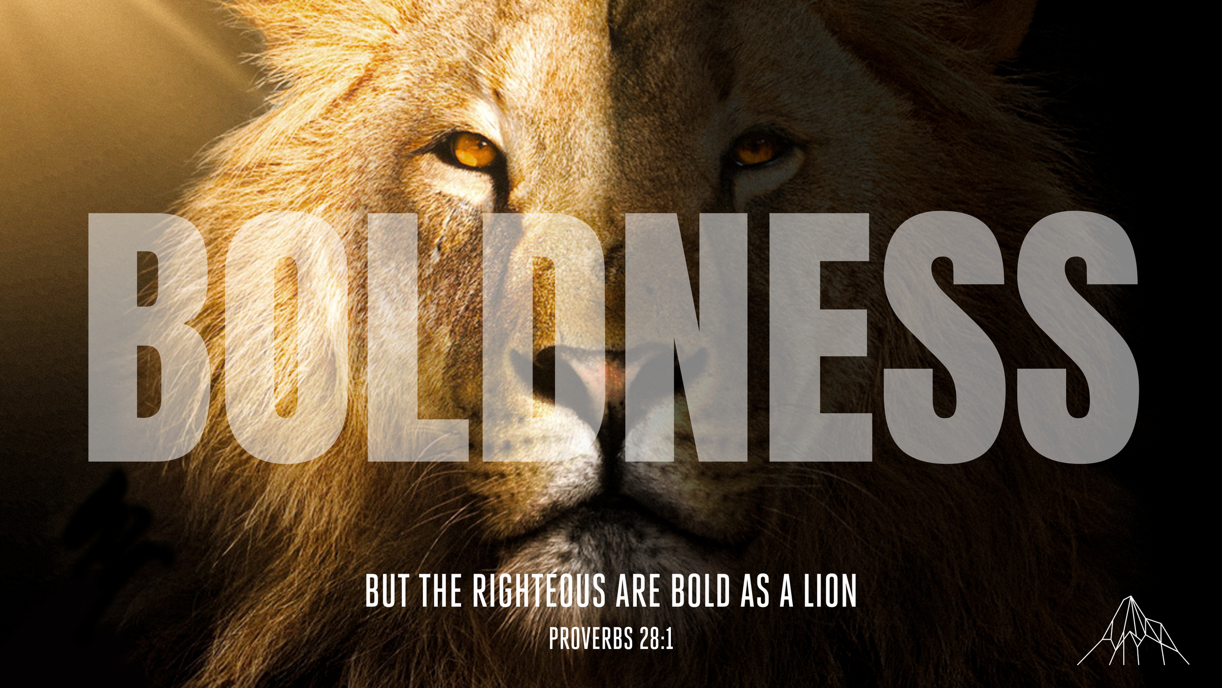 Emulating the True Boldness of Christ | Reasons for Hope