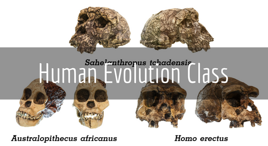 Human Evolution Class | Reasons for Hope