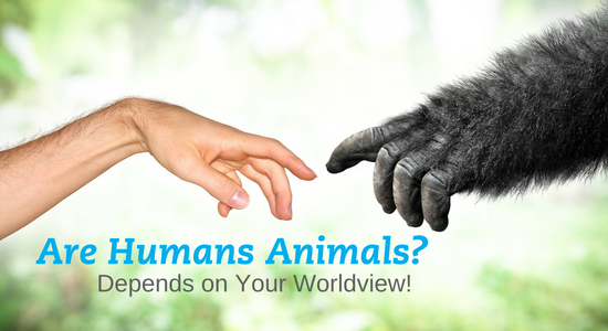Are Humans Animals? Depends on Your Worldview! | Reasons for Hope