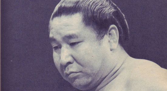 Sumo Sticker! | Reasons for Hope