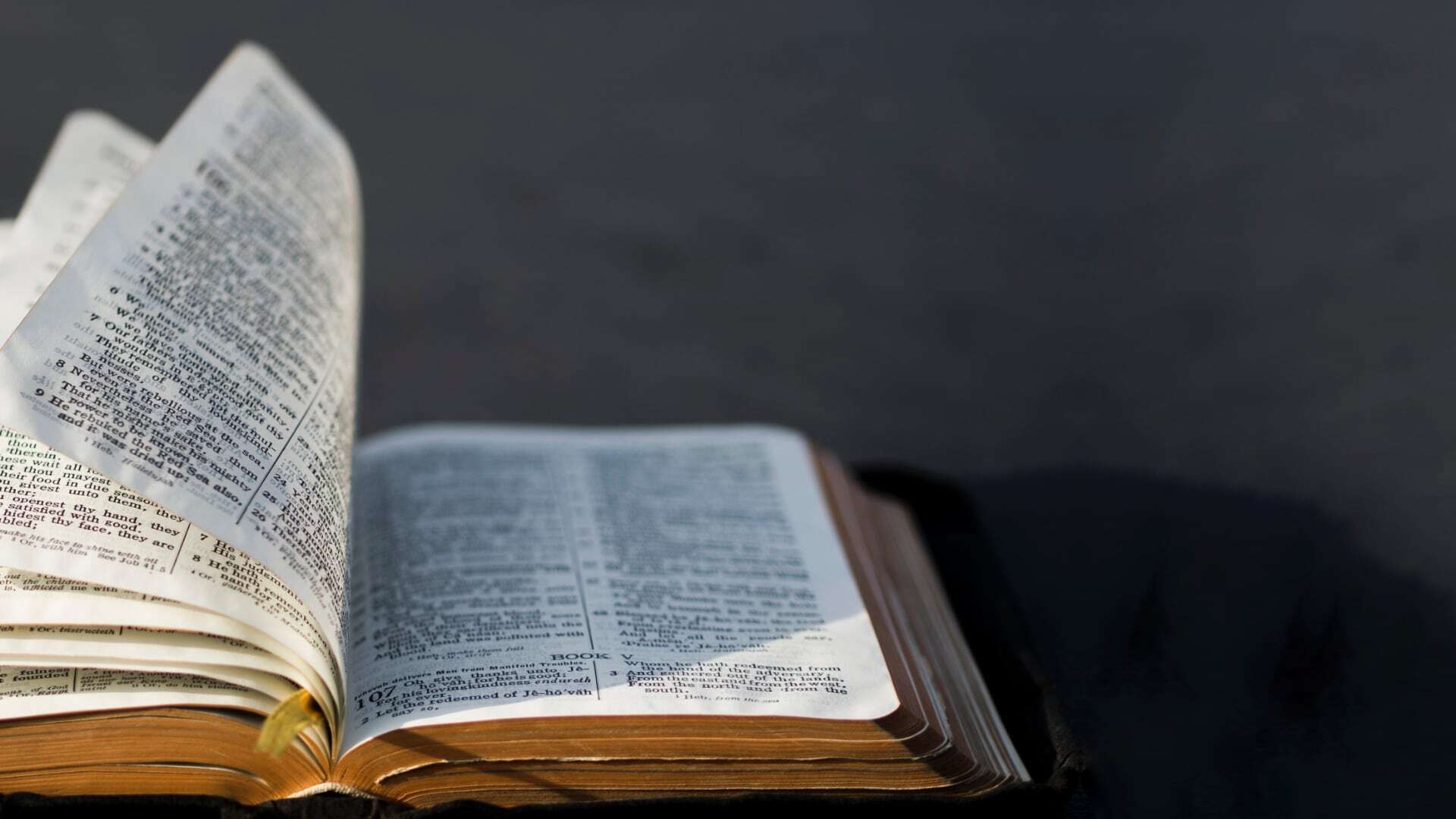 Meeting God in Scripture | Redwood Park Church