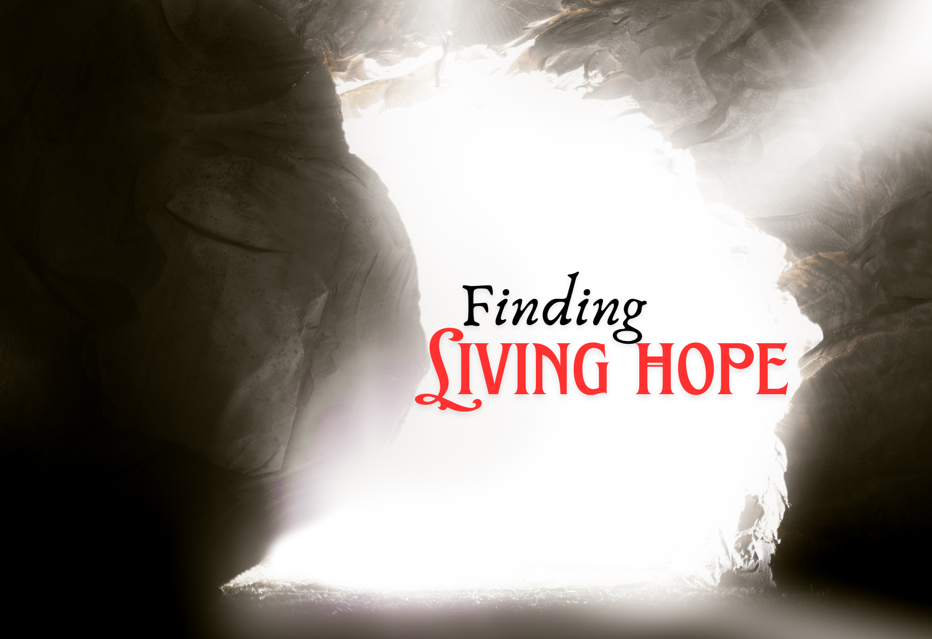 Finding Living Hope: Understanding God's Eternal Promise | Rock Creek ...