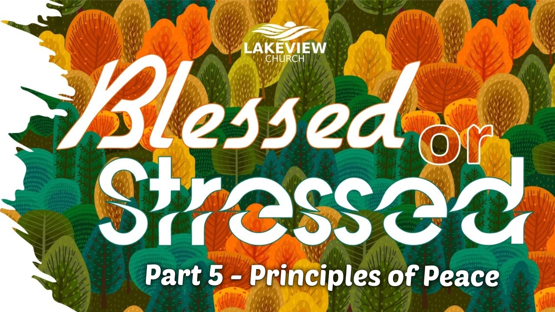 Blessed or Stressed: Pt 5 - Day 2 | Lakeview Church