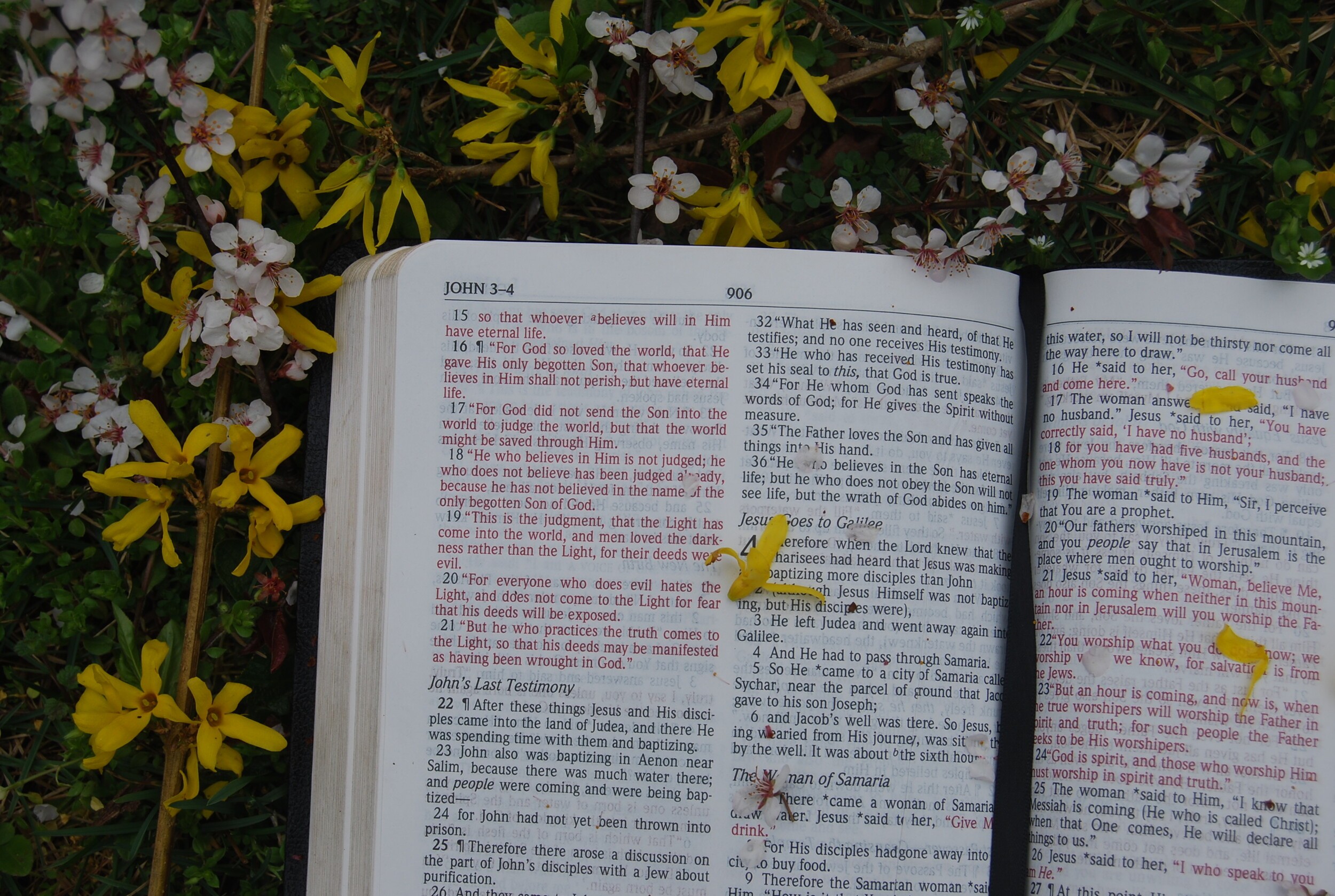 Spring Forward in Faith // M-Note 3.29.25 | The Gathering