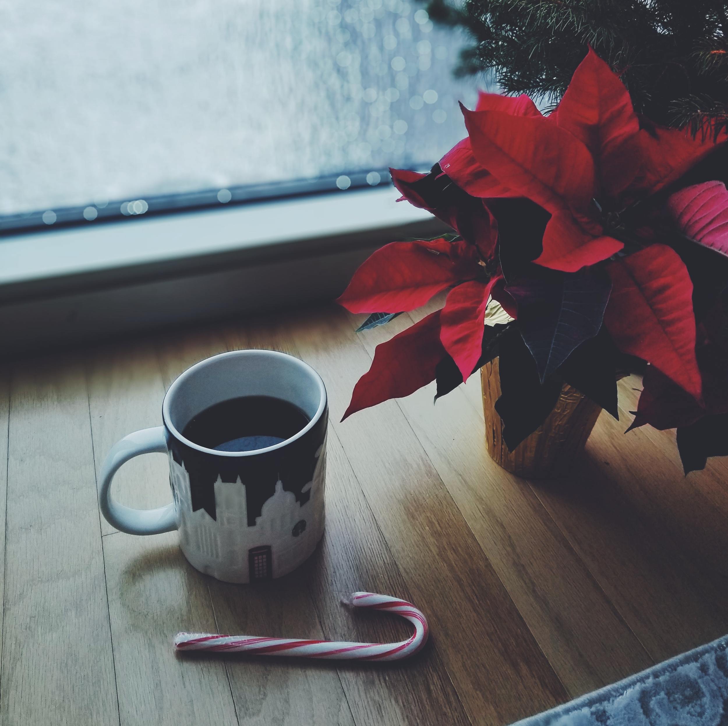 Advent Devotional - Day 12 | The Gathering