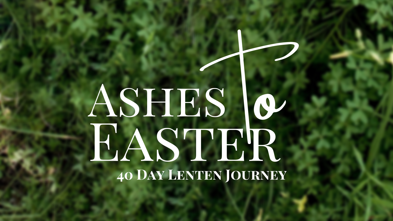 Day 20 - Only Jesus | Church at the Grove