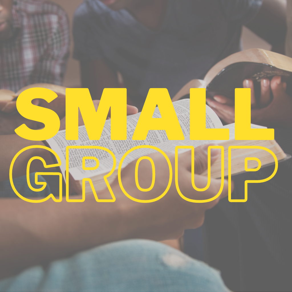 Small Group Discussion Guide December 1, 2024 | Calvary Moncks Corner