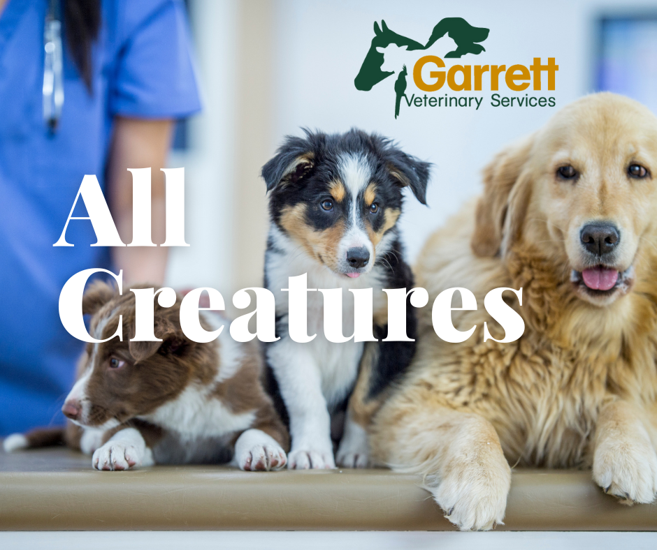 All Creatures | WFRN Radio
