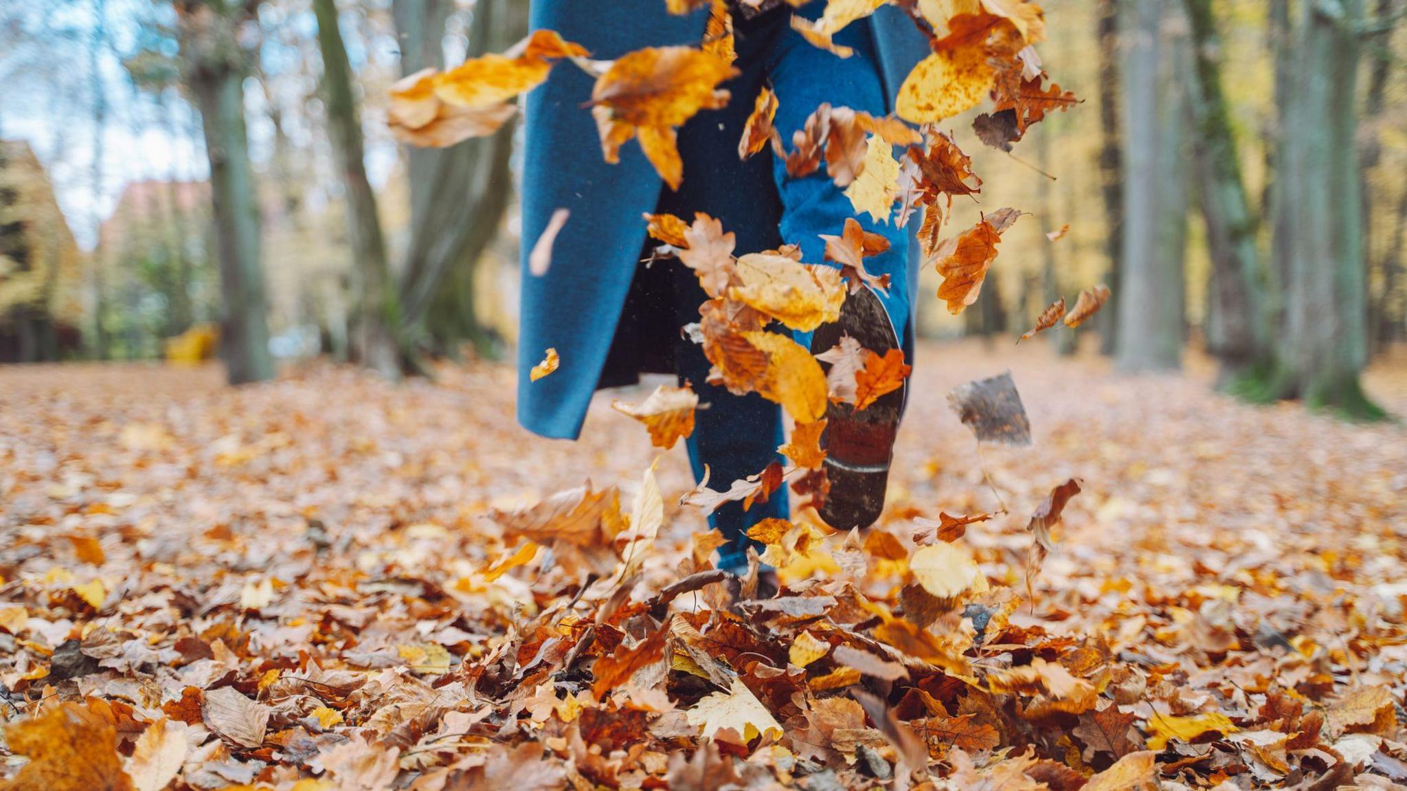 Autumn’s Invitation: Embrace Change with Mindfulness | Mindfulness for ...