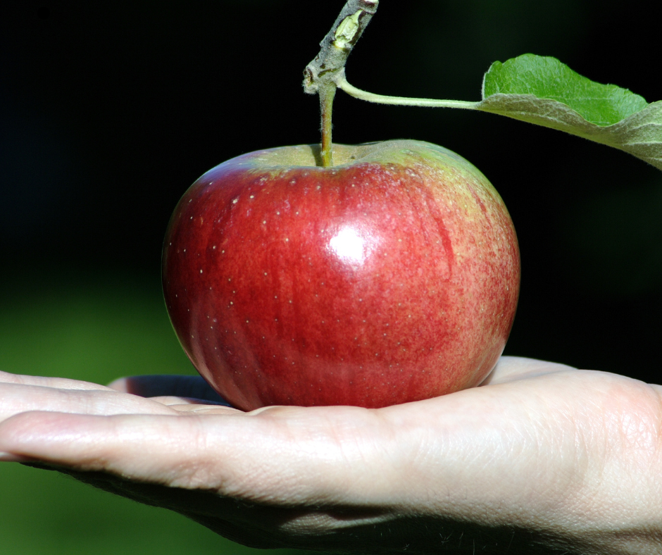 What is testing vs. temptation - The Story of Abraham | Long Hill Chapel