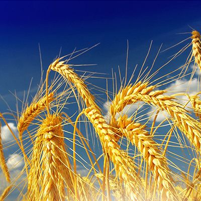 The Character Equation | Word Of Truth Christian Church