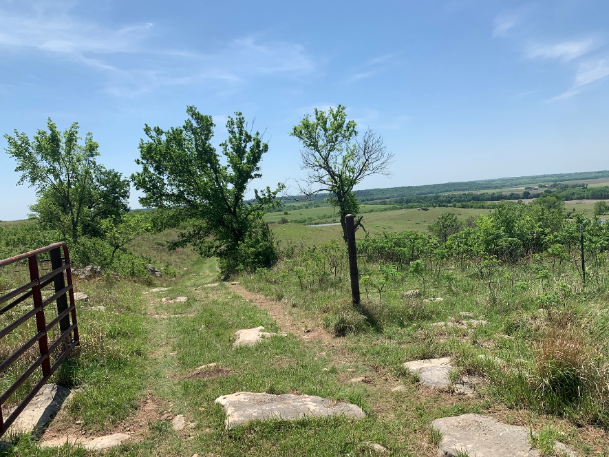 Beauty in the Rough Places | welcome2hope