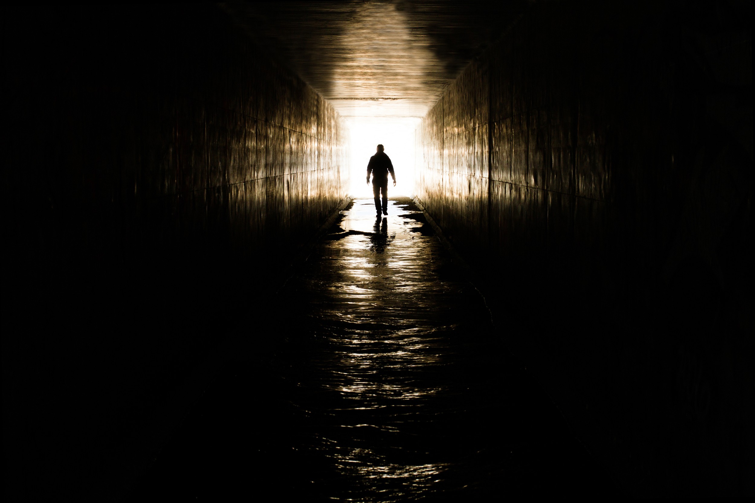 Walking in the Light: Illuminating Our Path in a Dark World | Grace ...