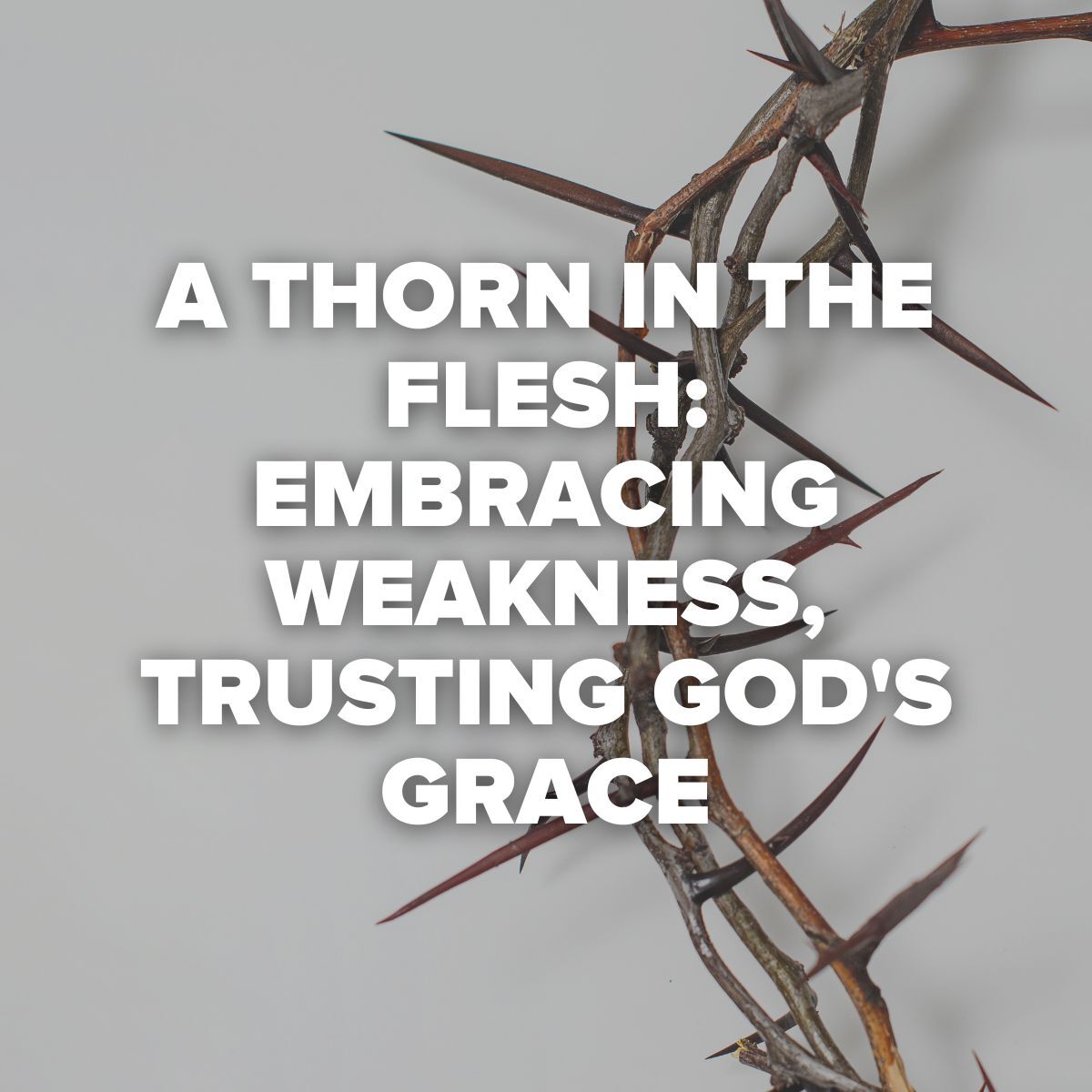A Thorn in the Flesh: Embracing Weakness, Trusting God's Grace ...