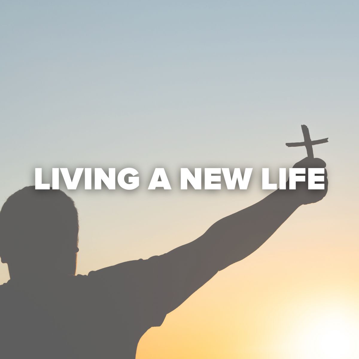 Living A New Life | Preston Trail Community Church
