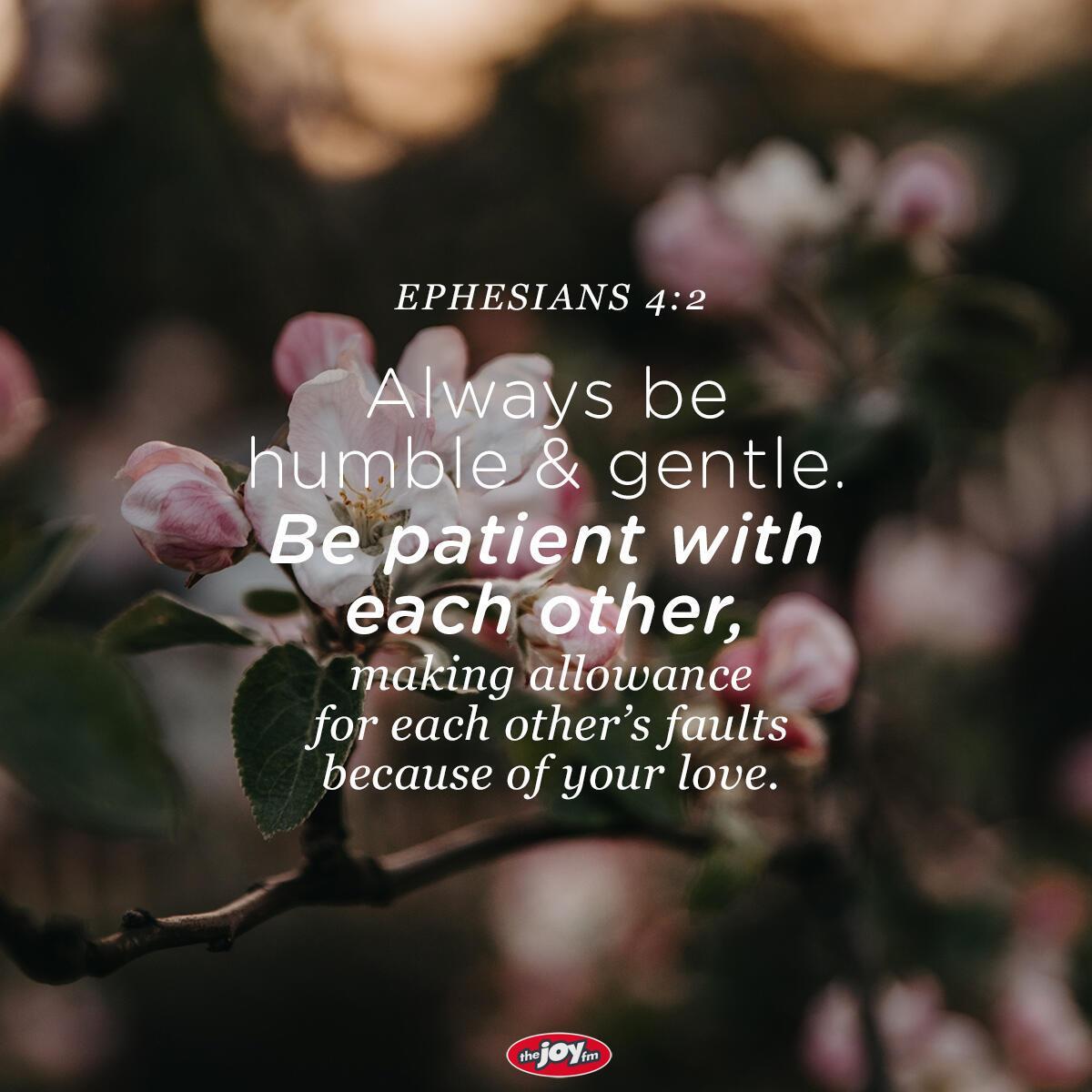 Try To Be More Gentle | Reedy Fork Baptist Church