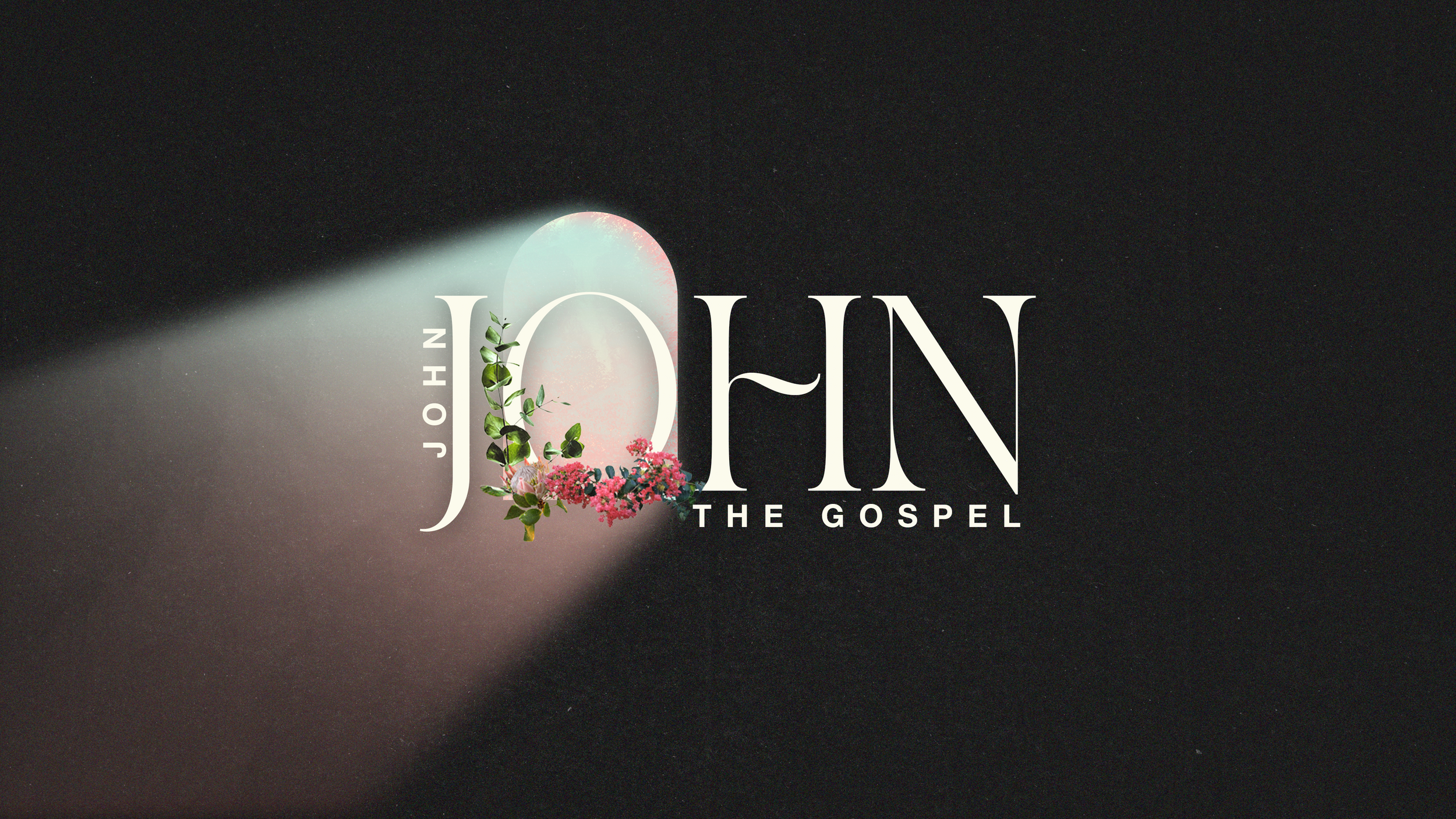 Gospel of John Devotional - January 12 | Sarasota Baptist Church