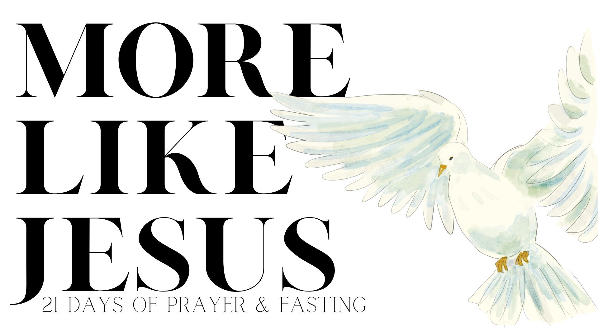 Against Such Things There Is No Law | Life Church Horizon West