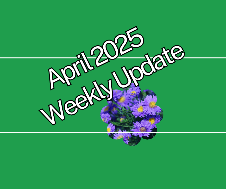 2025: Issue 14 | Christ Community Church