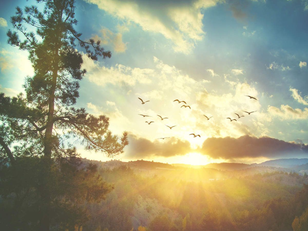 Light As The Dawn | Life Together Ministry, Inc.