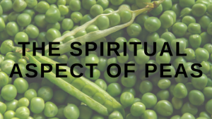 The Spiritual Aspect of Peas - 07/12/2021 | Central Kitsap Presbyterian ...