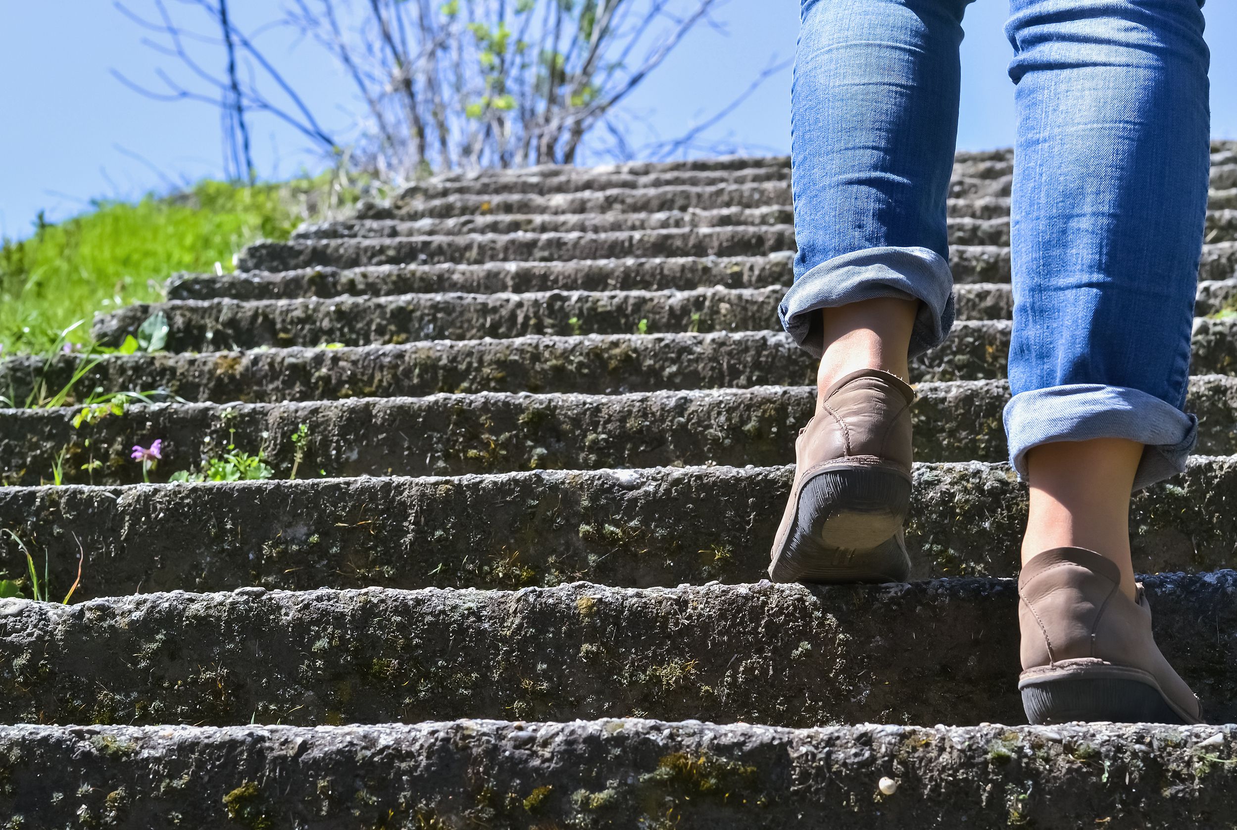 Three Steps Forward? | 4832 Truth