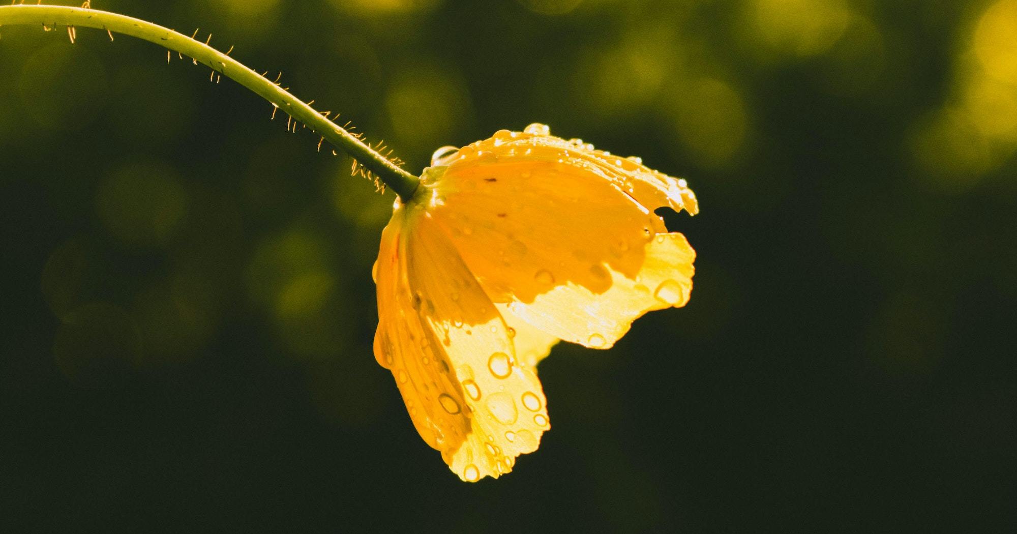 Dedicate Your Blessings Back To God | Renewal Christian Center