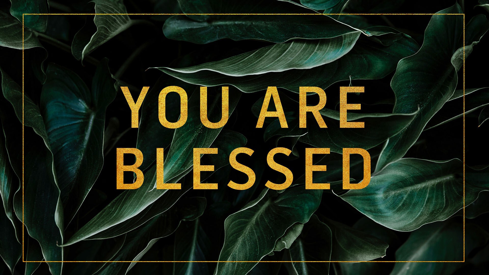 Your Blessings Cannot Be Reversed | Renewal Christian Center