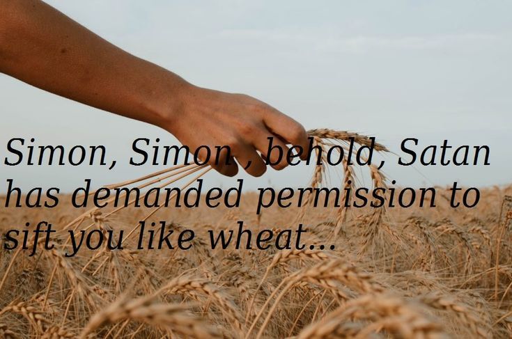 Satan Has Asked For You | Renewal Christian Center