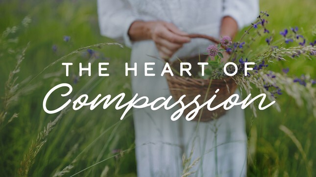 Have a Heart of Compassion | Renewal Christian Center