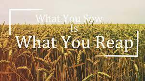 We Reap What We Sow | Renewal Christian Center