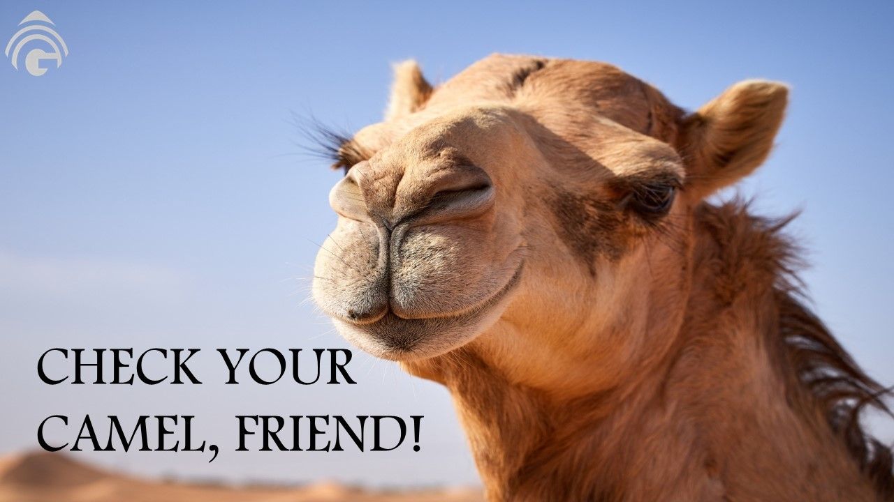 CHECK YOUR CAMEL, FRIEND! | Genesis Bible Fellowship Church