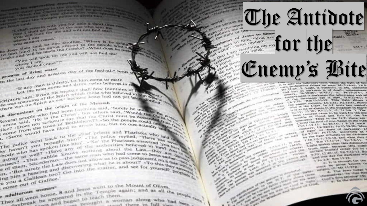 The Antidote for the Enemy’s Bite | Genesis Bible Fellowship Church