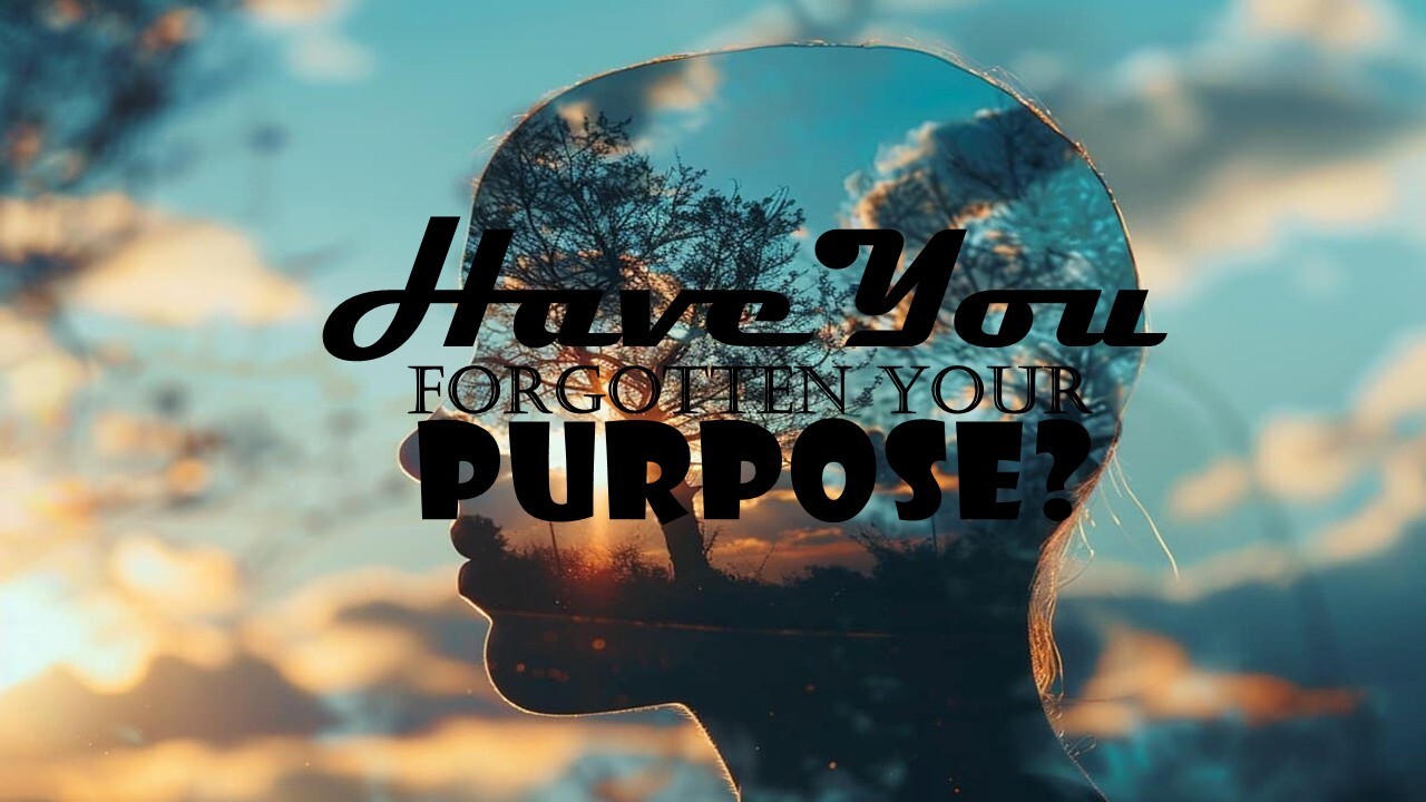Have You Forgotten Your Purpose? | Genesis Bible Fellowship Church