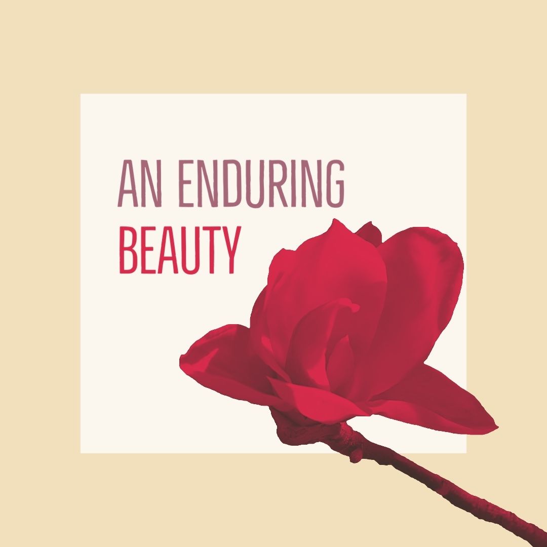 An Enduring Beauty | Genesis Bible Fellowship Church