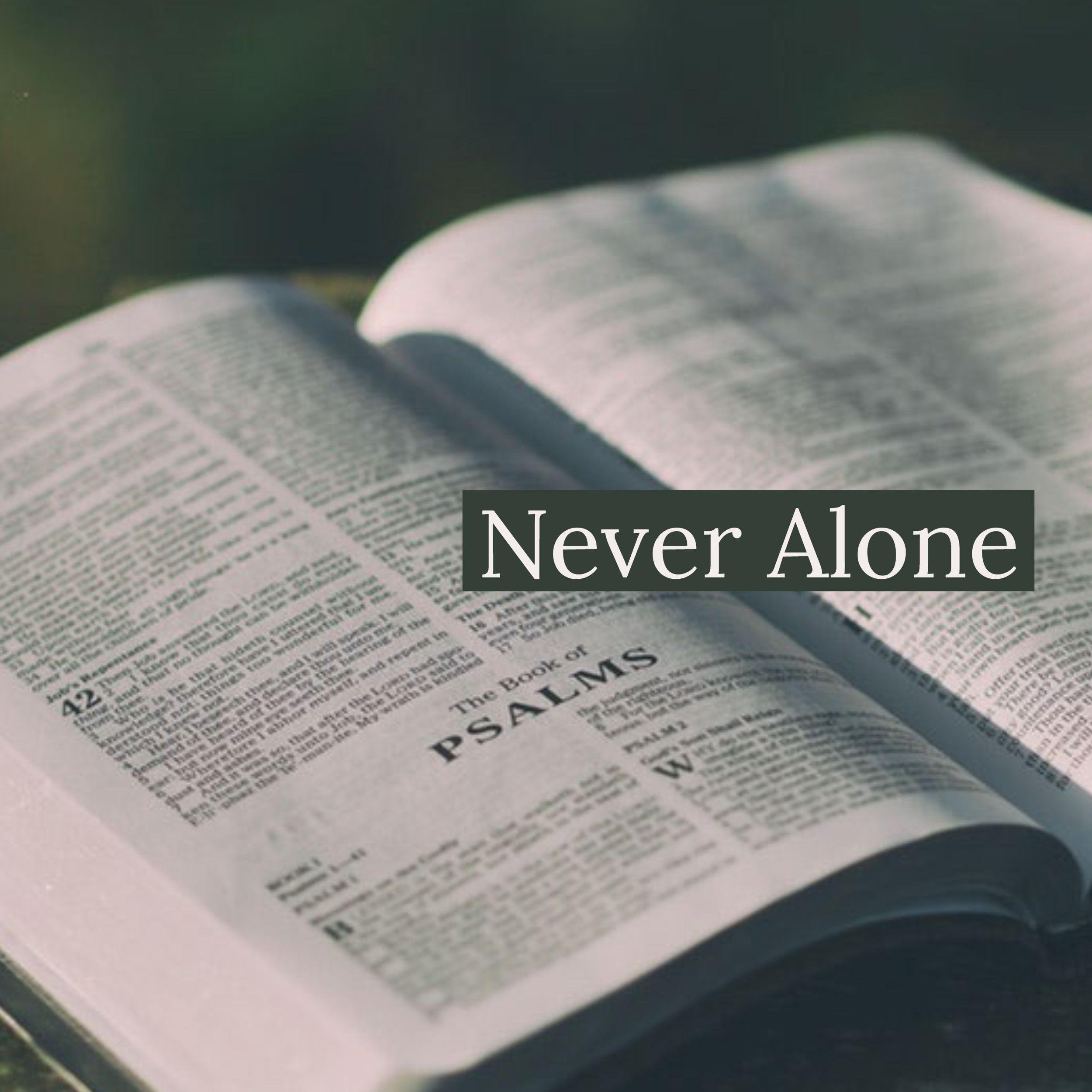 Never Alone | Genesis Bible Fellowship Church